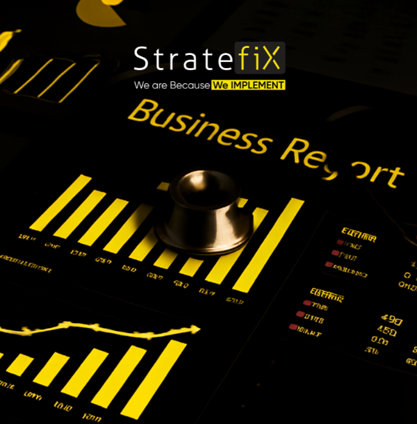 Business Diagnosis Guide for Founders & CEOs by Stratefix